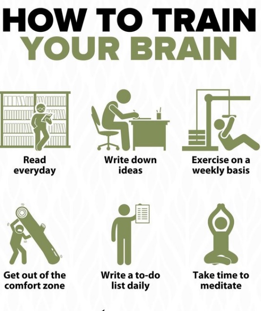How To Train Your Brain How To Train Your Brain